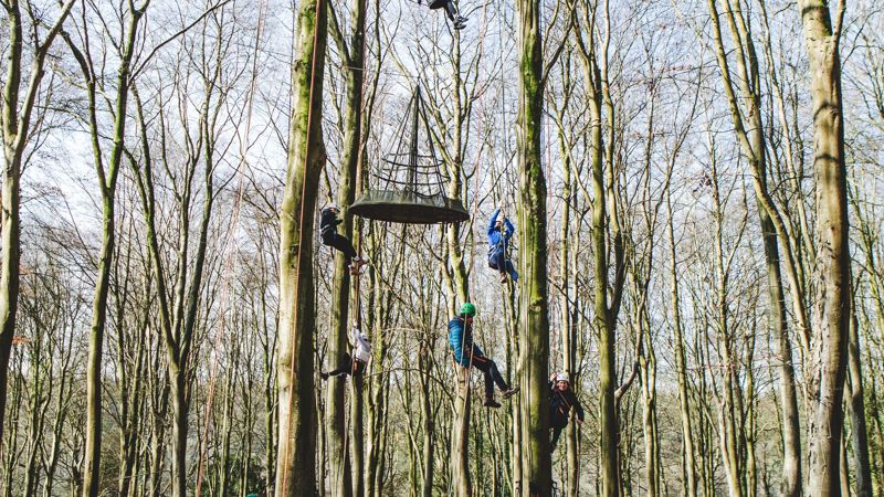 Tree Climbing Experience | Outdoor Activities | Goodwood Estate