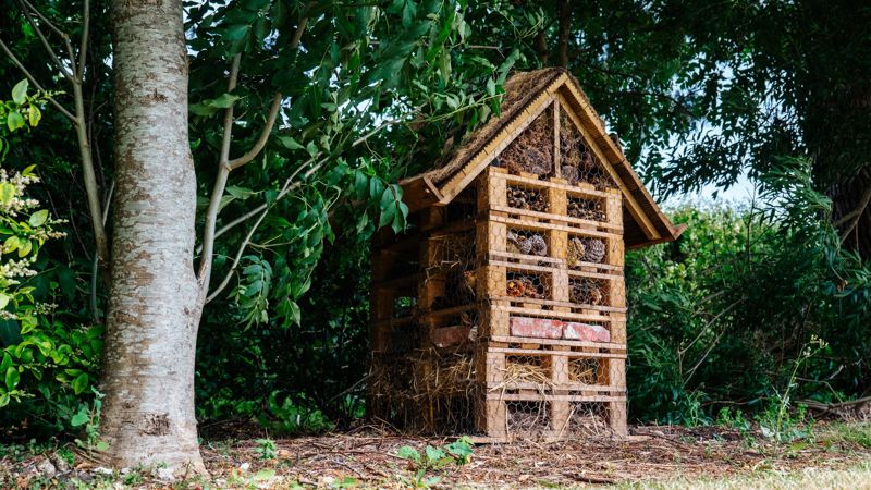 Celebrating Insect Week on Goodwood Estate | Goodwood