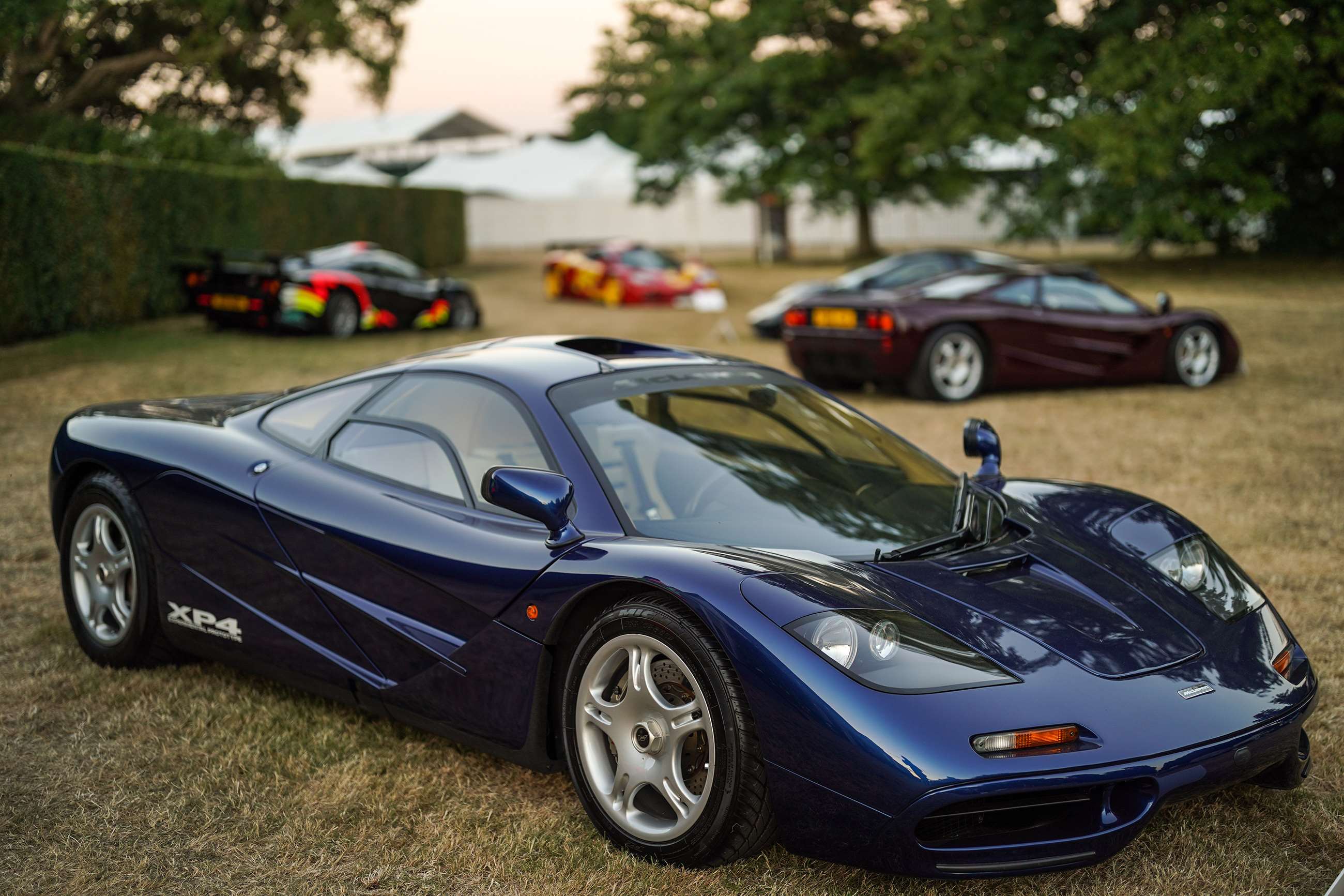Mclaren F1 Blue