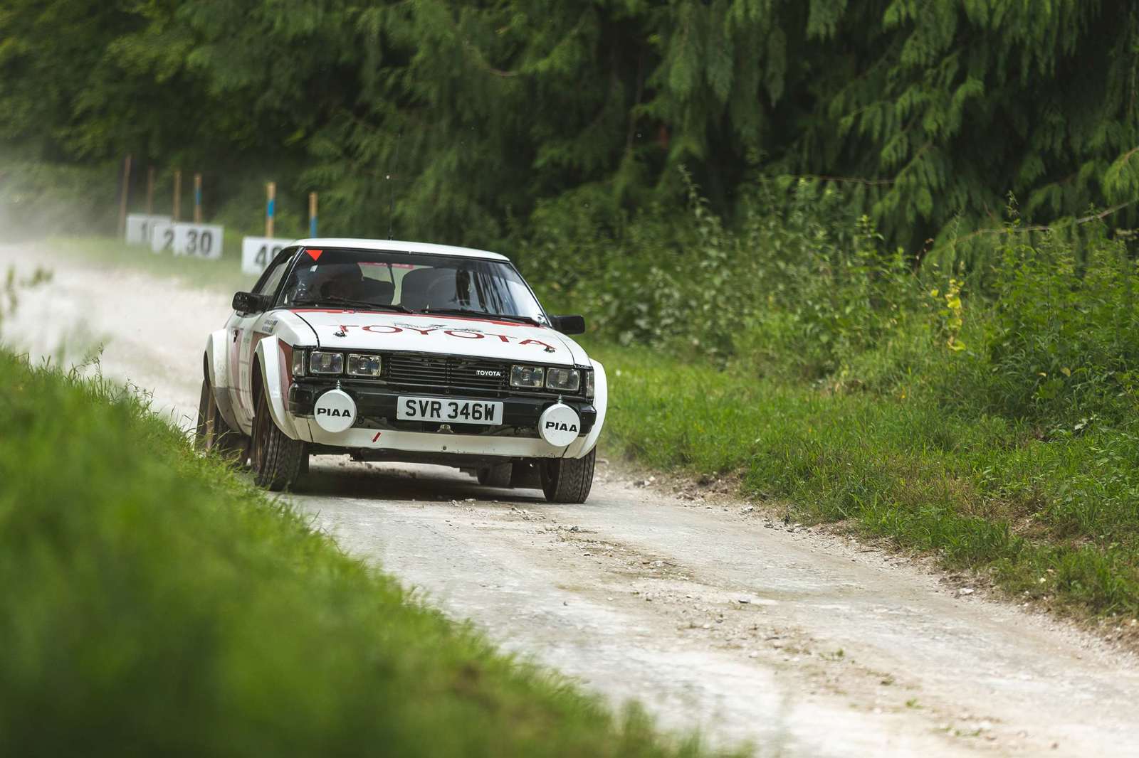 [Gallery] Sideways action between the trees | GRR