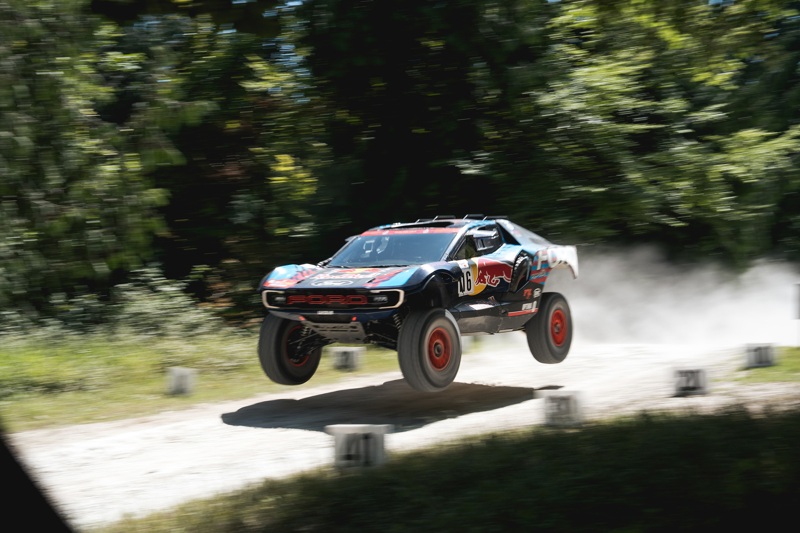The Forest Rally Stage at the 2025 Festival of Speed | GRR