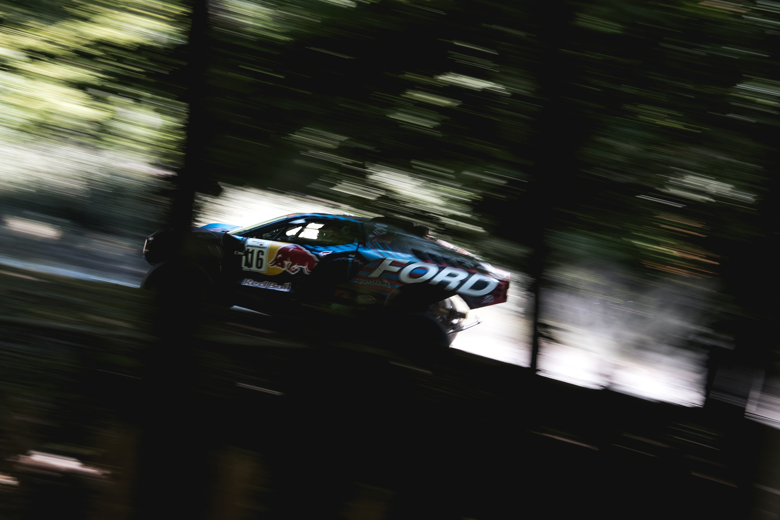 The Forest Rally Stage at the 2025 Festival of Speed | GRR