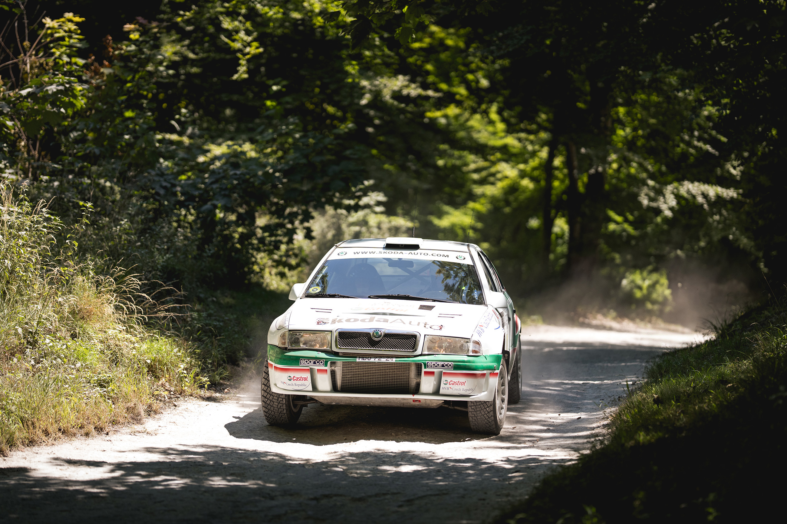 The Forest Rally Stage at the 2025 Festival of Speed | GRR