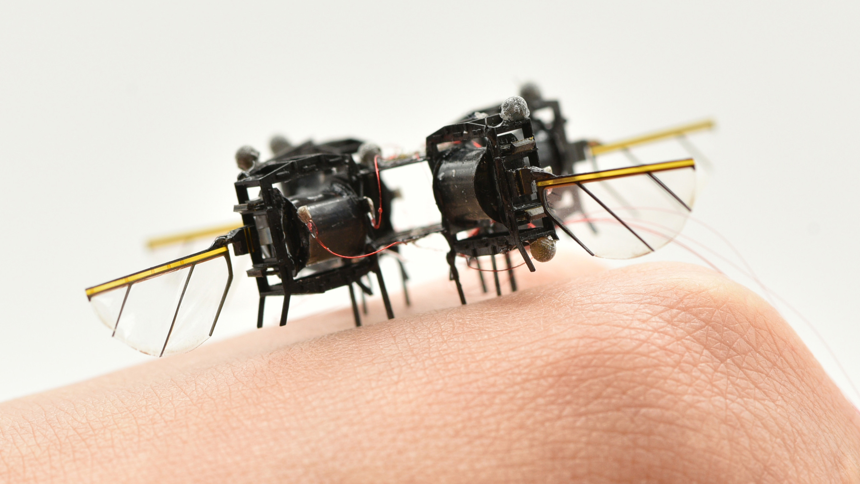 Drones enter a new era of rescue, research and creativity in 2026 | GRR
