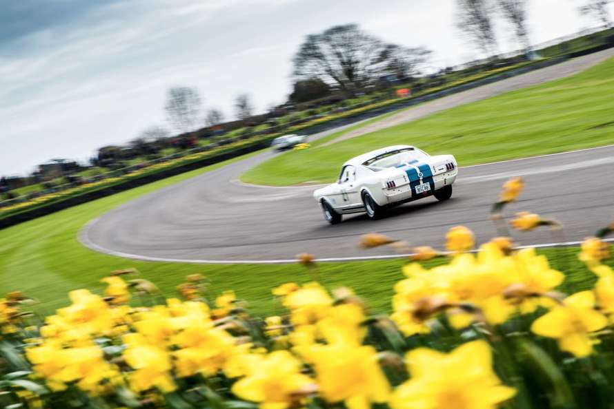 75MM Snapper's Selection: Jayson Fong