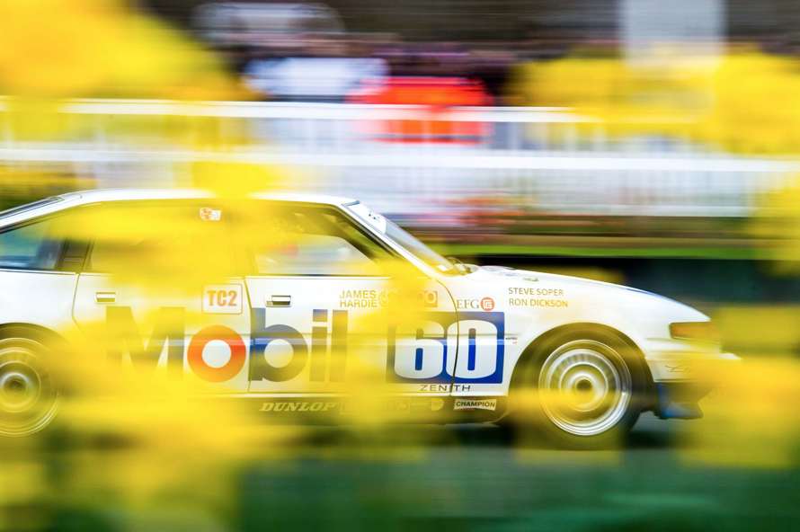 75MM Snapper's Selection: Jayson Fong