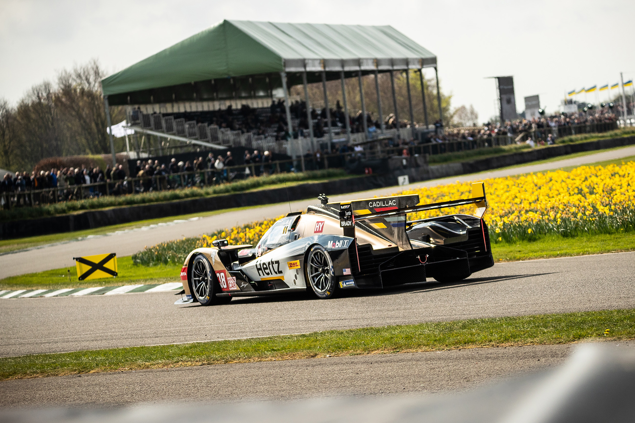 INTERVIEW: The Jota drivers who stunned crowds at Goodwood | GRR