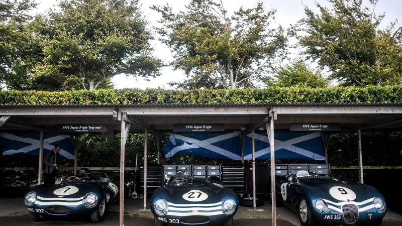 Mega-Gallery: Unparalleled Ecurie Ecosse assemblage pays tribute at Revival