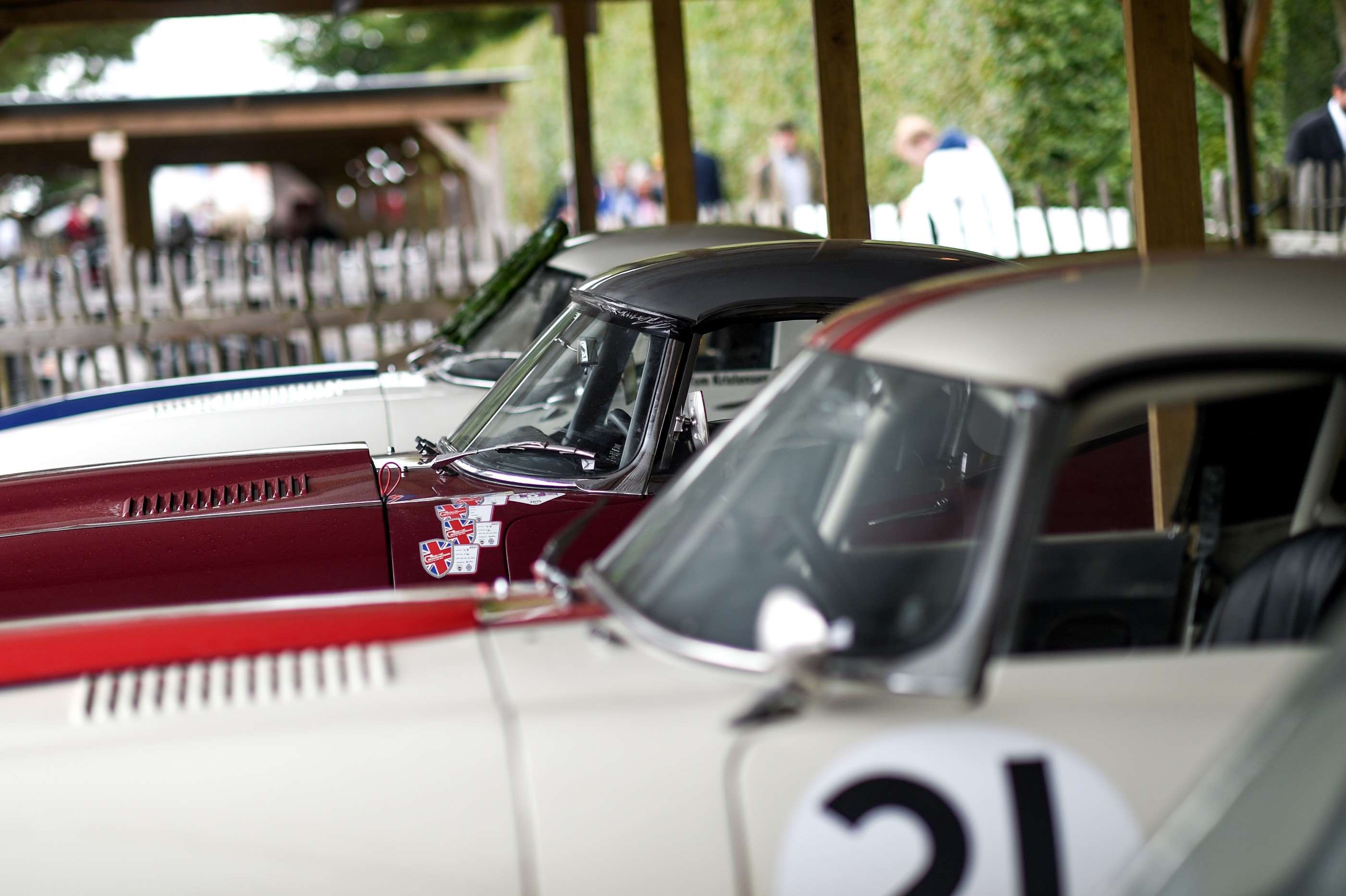 The evolution of E-Type as a racer