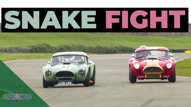 [Video] Outstanding Cobra clash at Revival 2021 | GRR