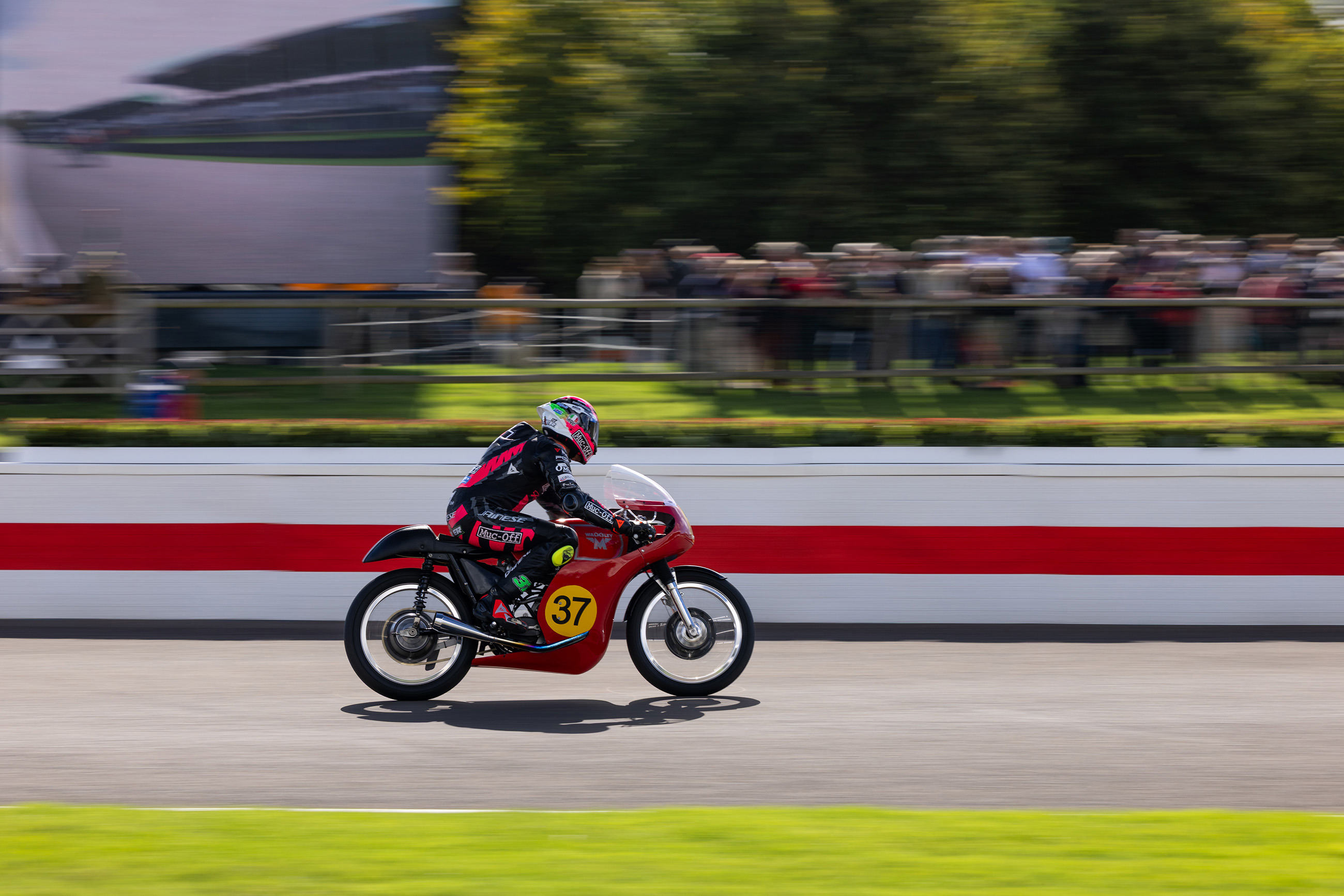 [Video] 2025 Barry Sheene Memorial Trophy highlights | Goodwood Revival ...