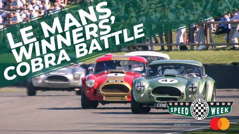 [Video] Amazing Cobra battle leads to hair-raising near-miss | GRR