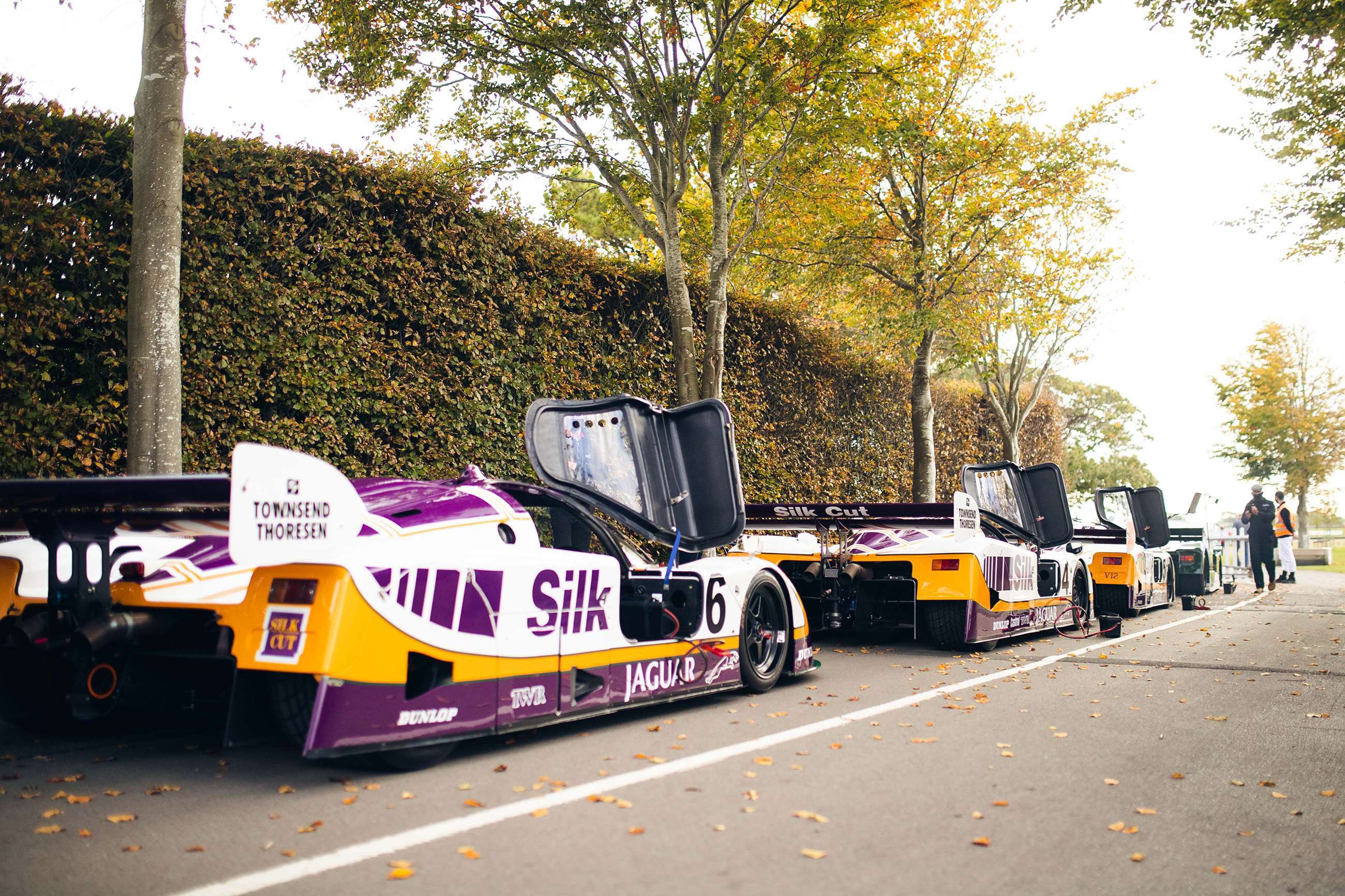 Gallery: Legendary TWR Jaguars in action at SpeedWeek | GRR