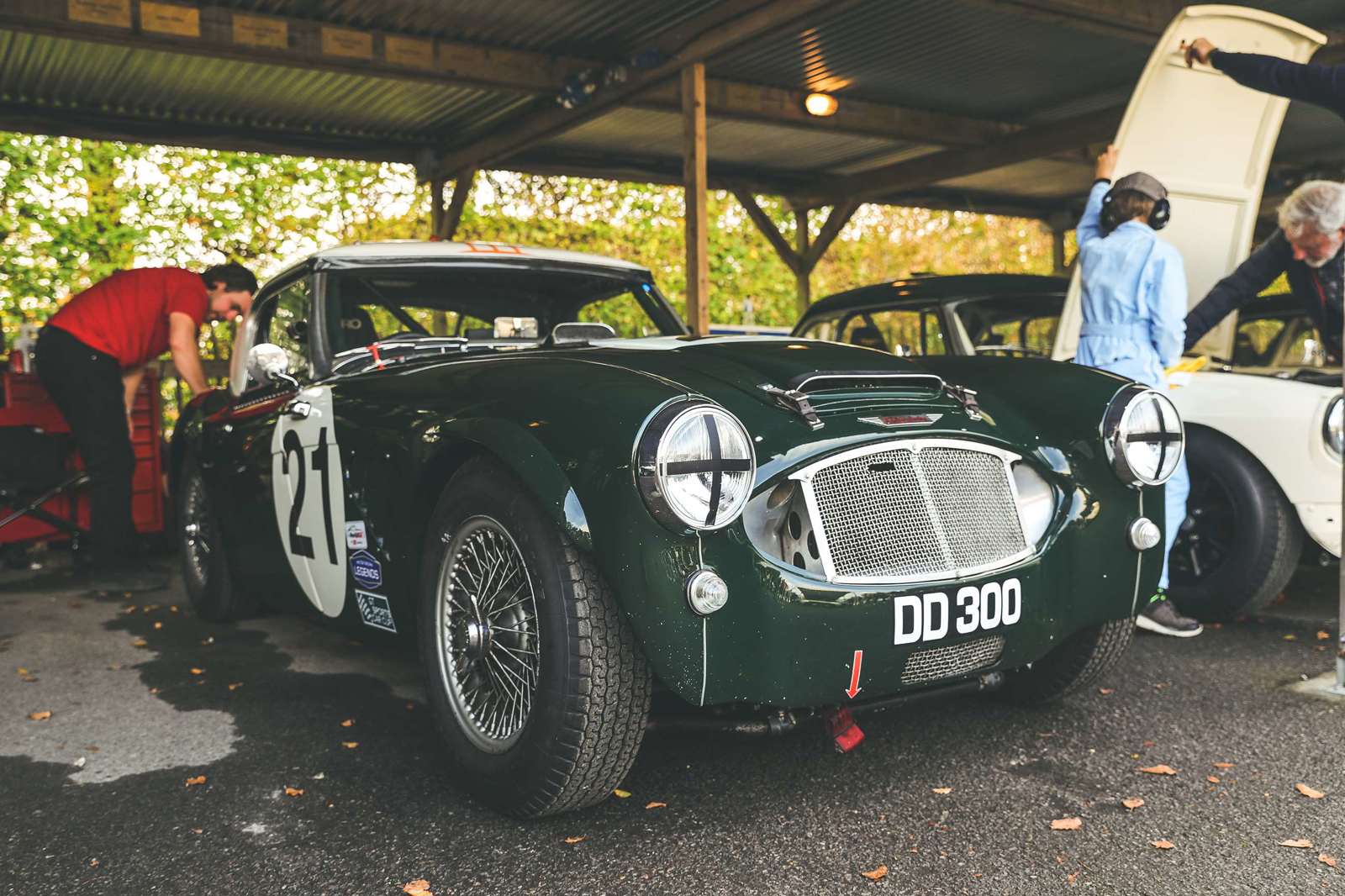 This Austin Healey was raced by motorsport royalty | GRR