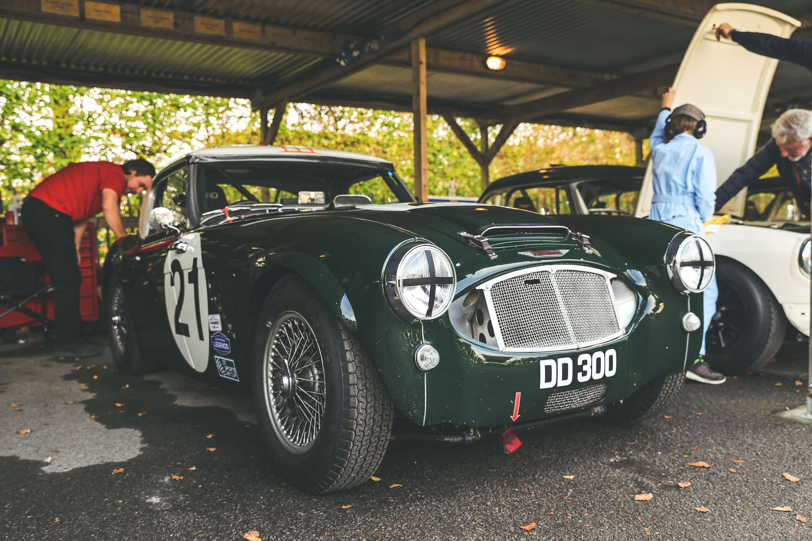 This Austin Healey was raced by motorsport royalty | GRR