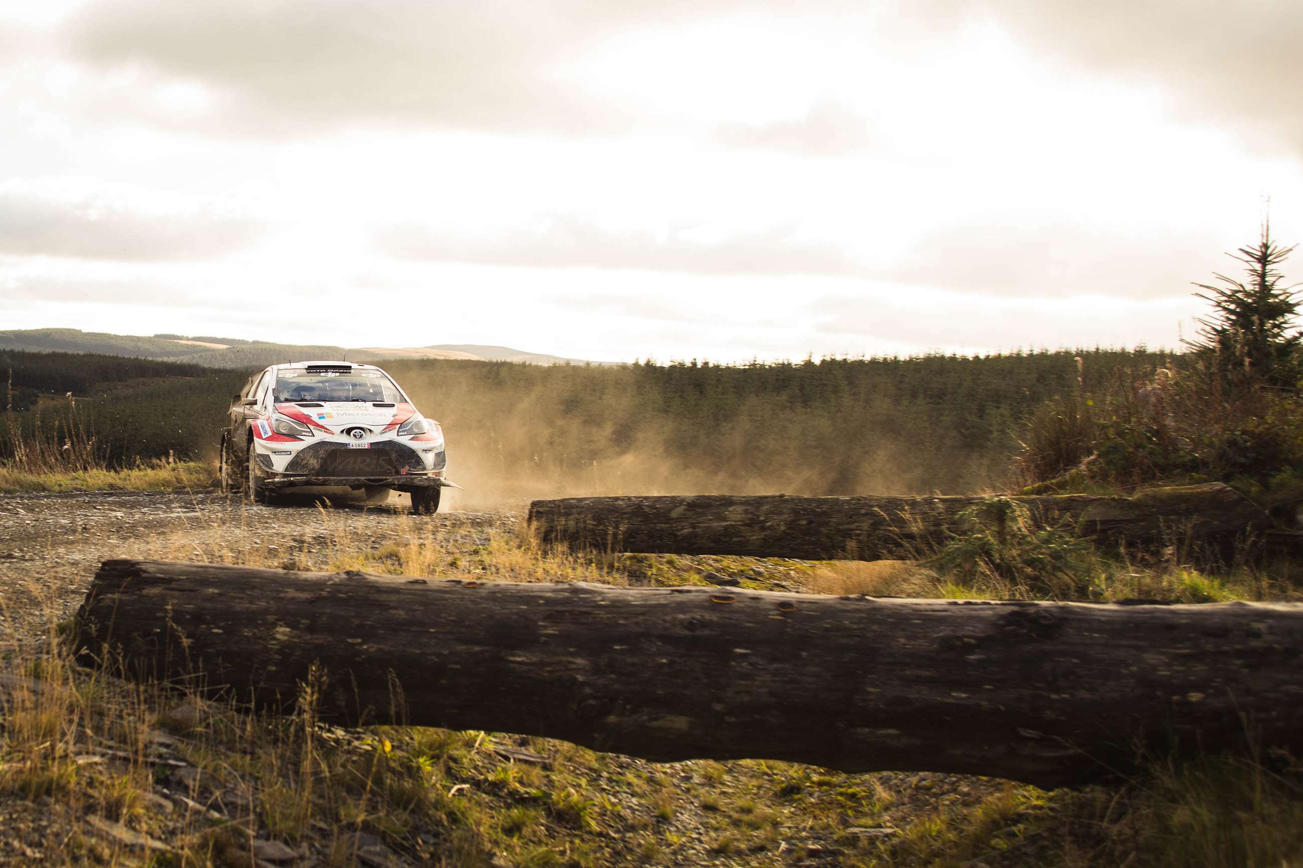 5 reasons you should go to Wales Rally GB | Goodwood Road Racing
