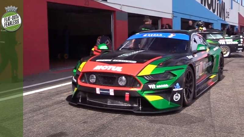Video: Mad Aussie Mustang monsters Spa
