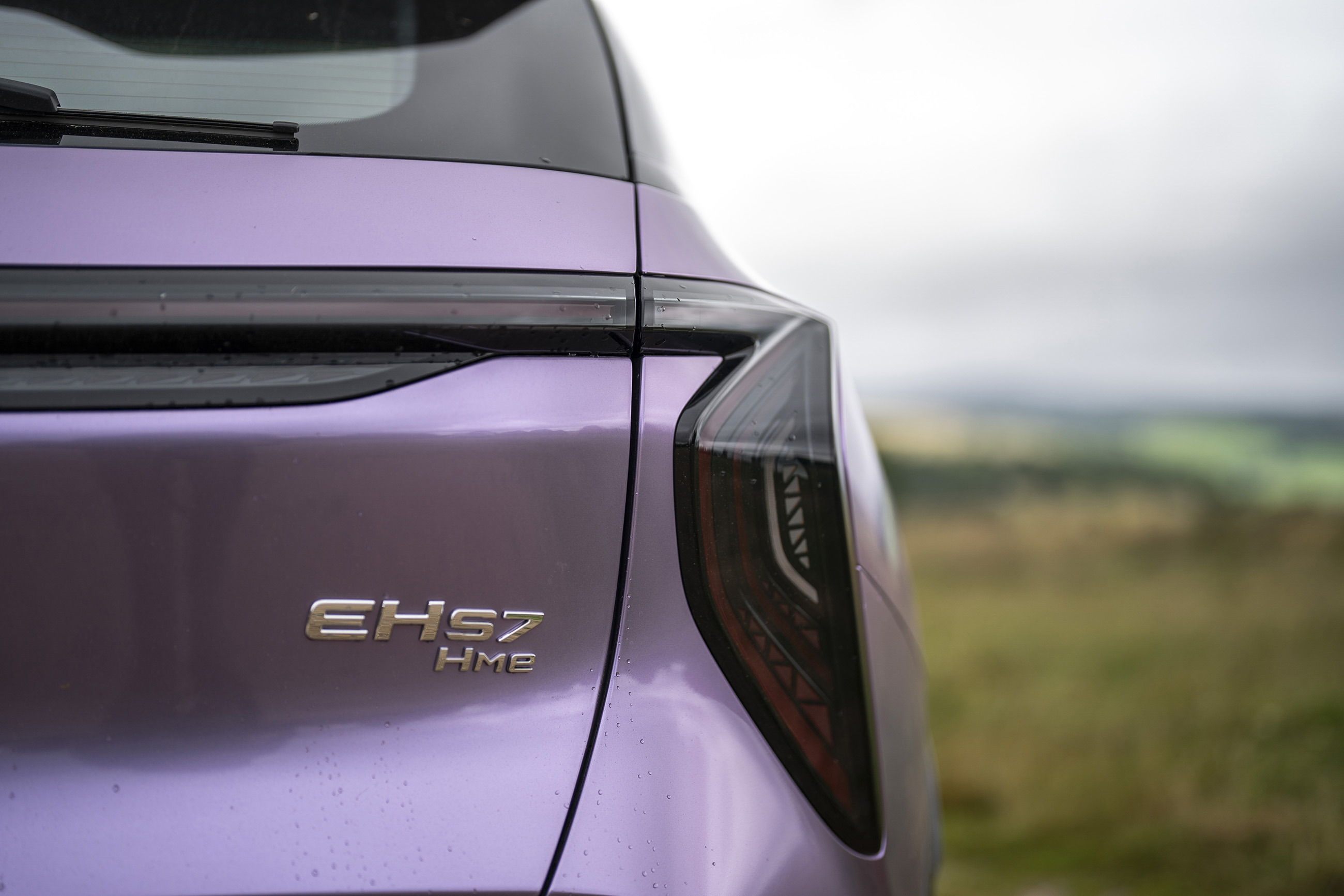 Hongqi EHS7 2024 review | First Drive