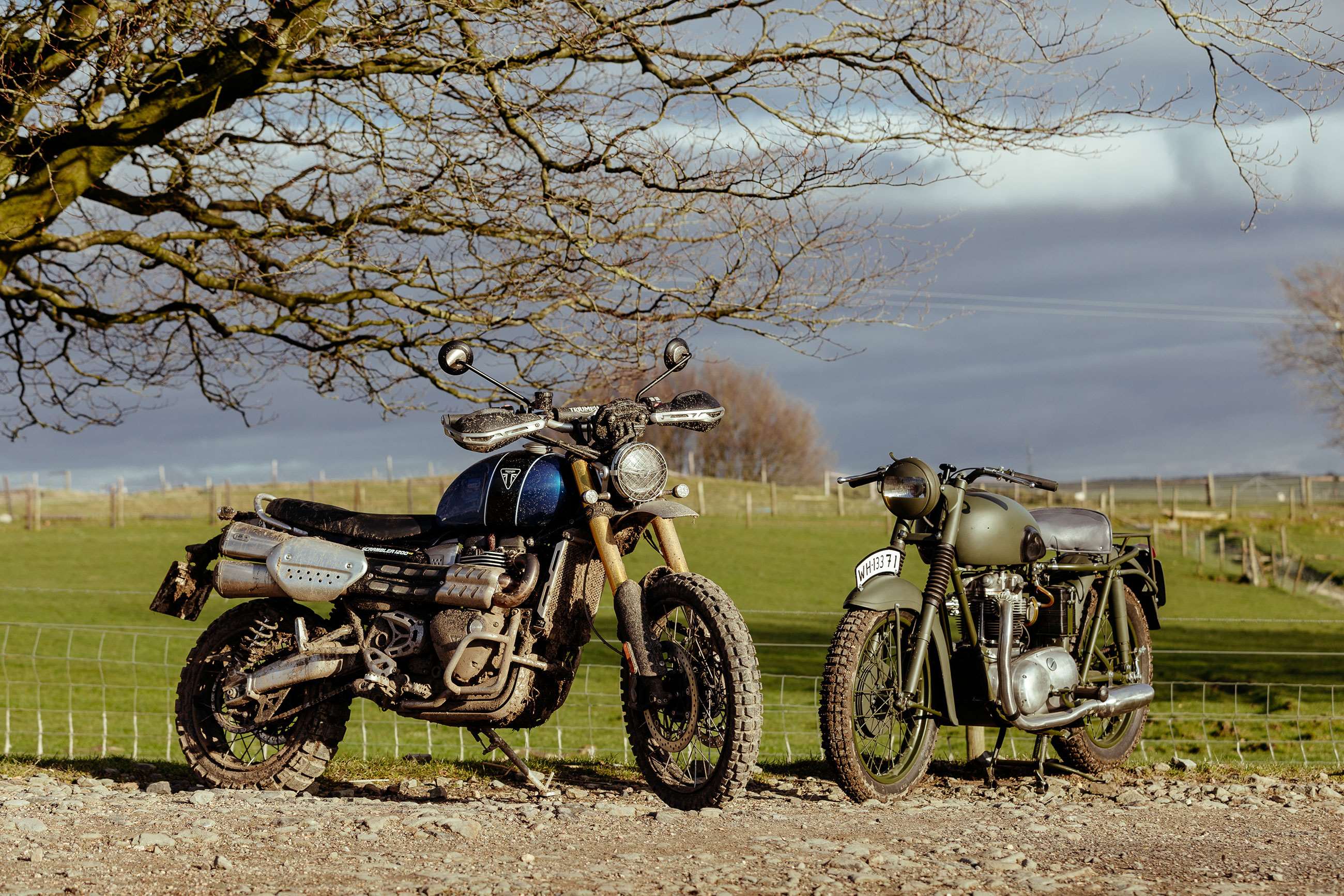 Triumph made a Dakar rider herd cows | GRR