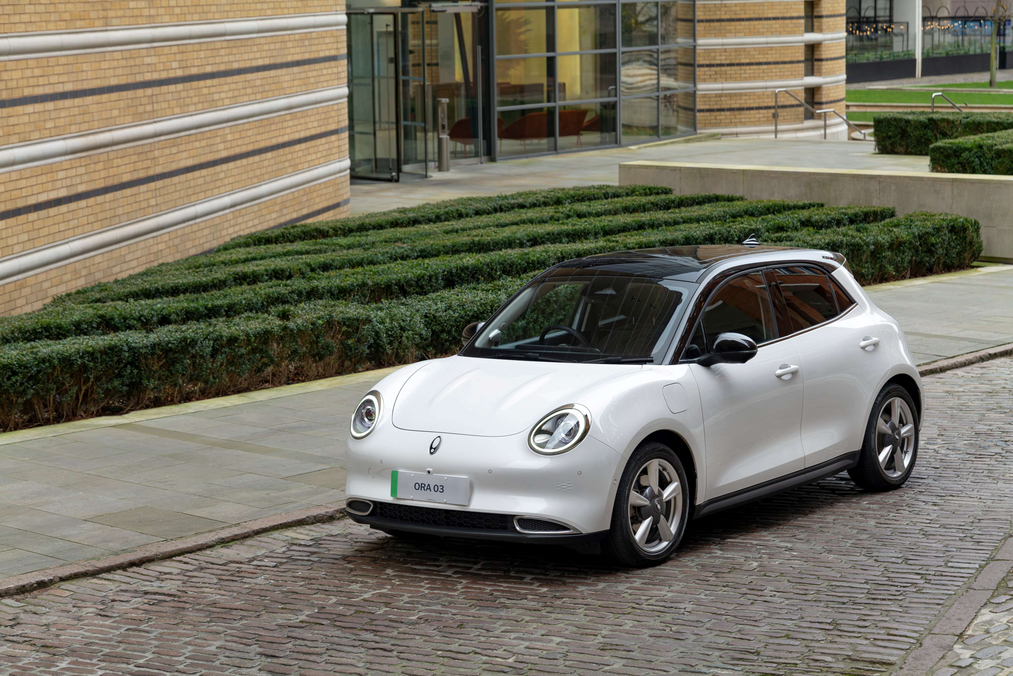 The ORA Funky Cat is dead | GRR