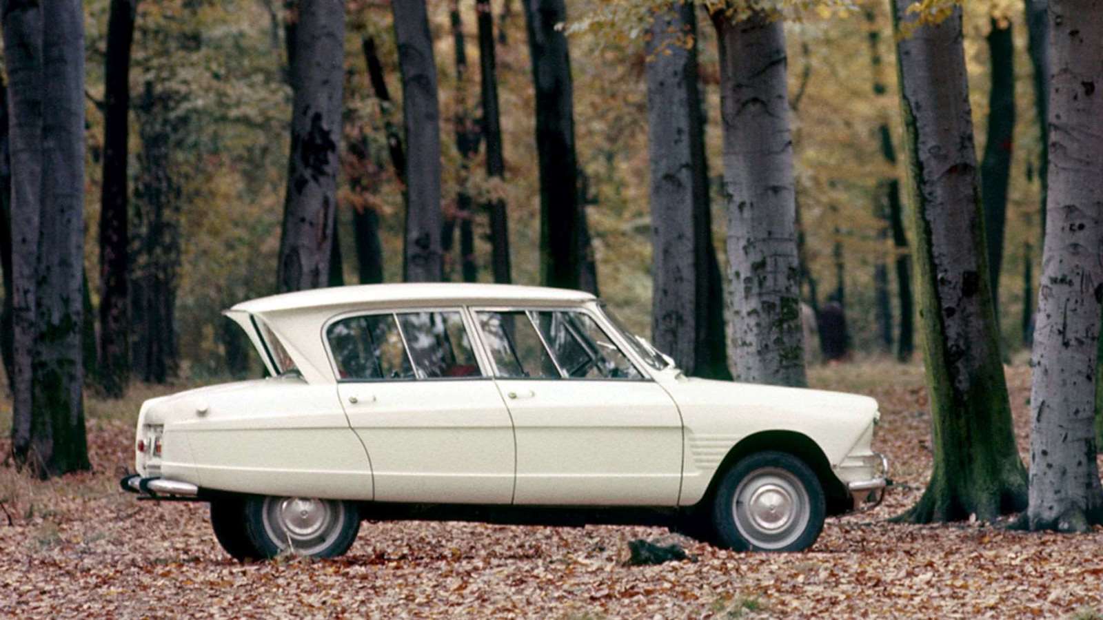 11 weird and wonderful Z-back cars | GRR