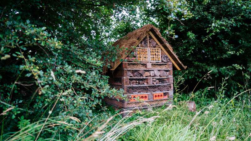 A bug haven at Goodwood Motor Circuit | Goodwood