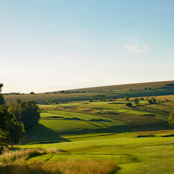 Goodwood - Jamie Burchell