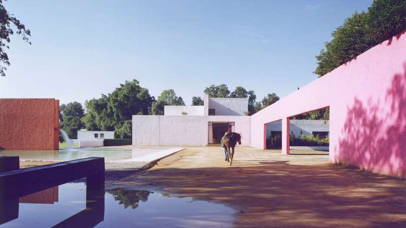 Special Ranch | Goodwood