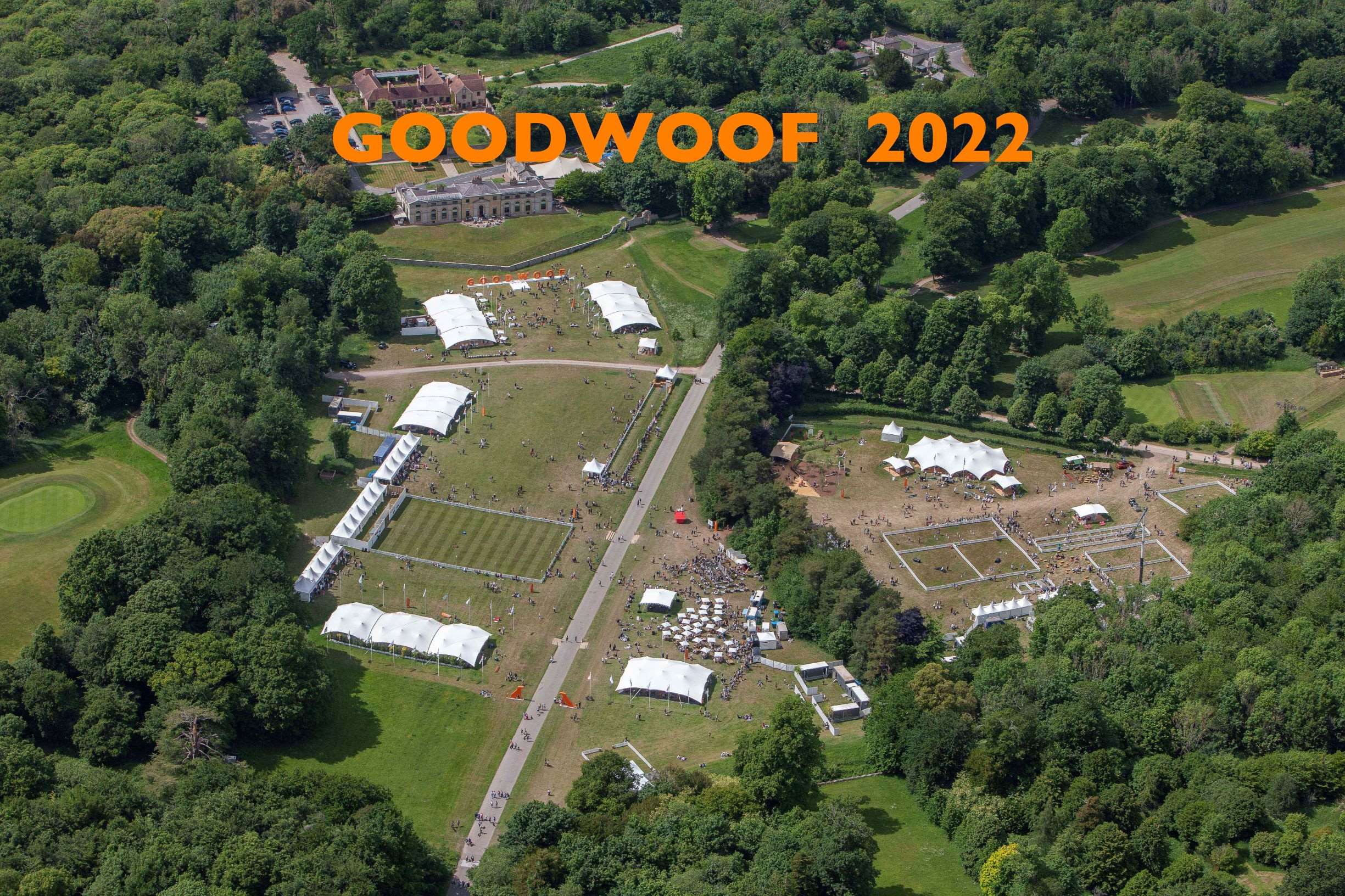 Goodwood - Goodwoof from above