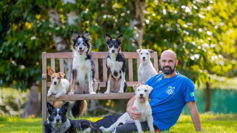 Dynamic Demonstrations from Disc Dog World Champion at Goodwoof | Goodwood