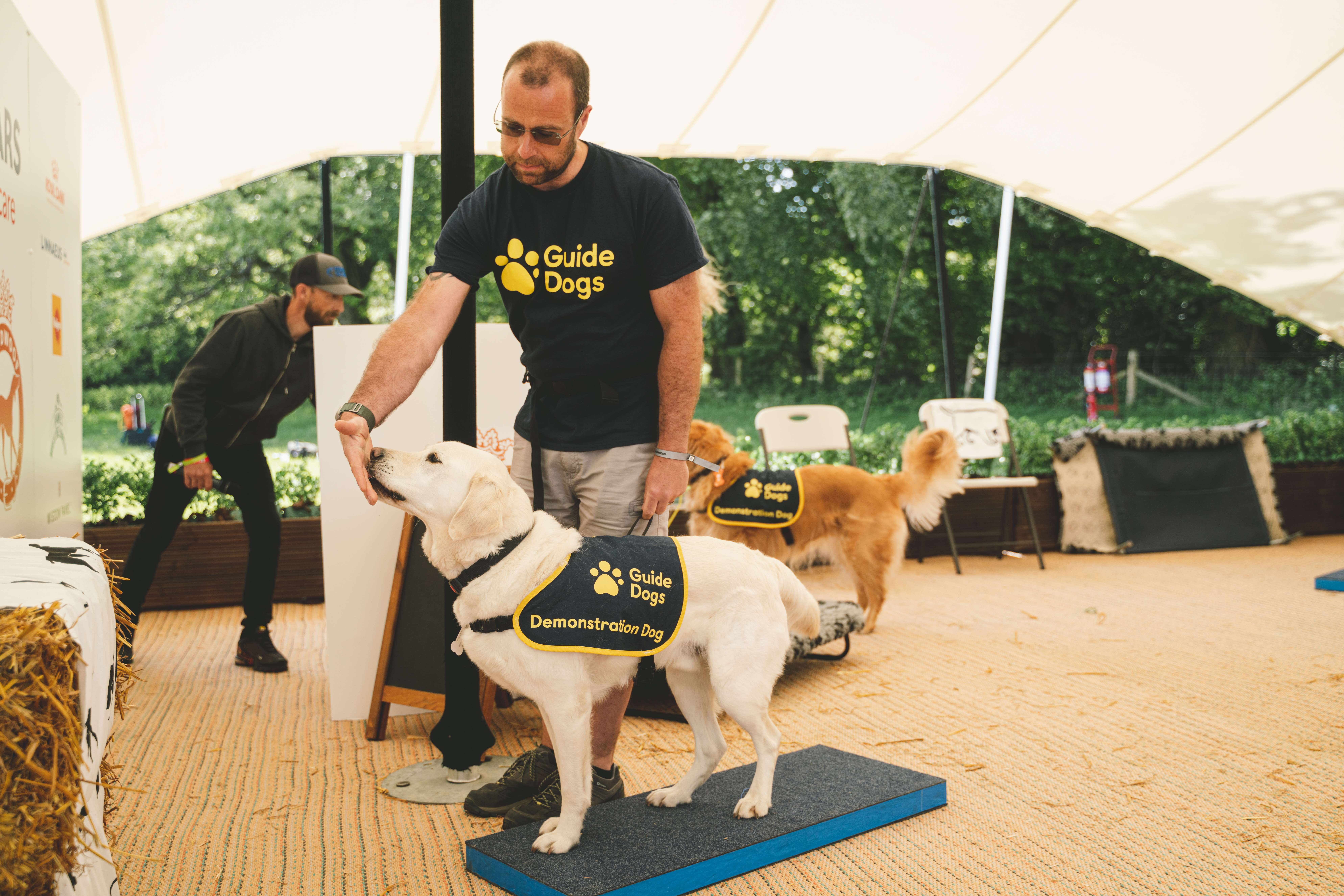 Goodwood - Guide Dogs UK