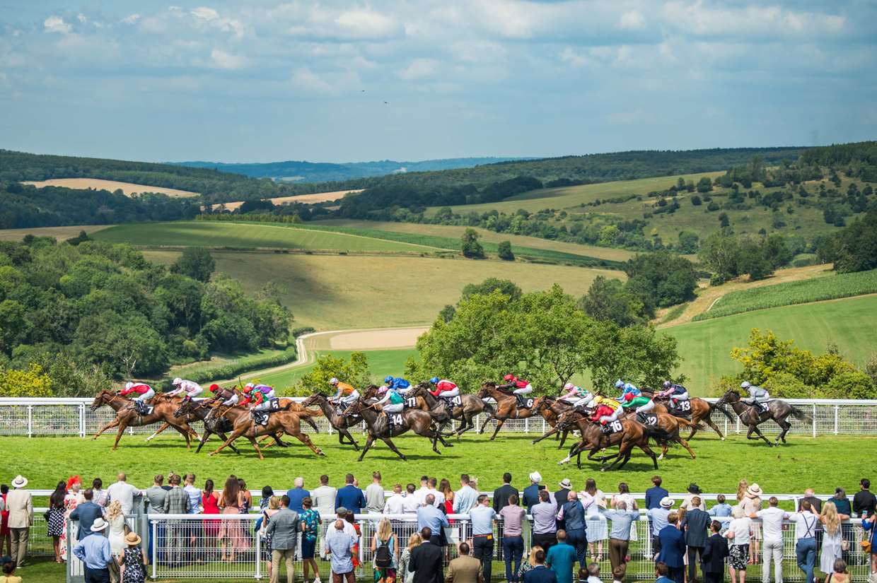 Horseracing at Goodwood | Racecourse in Chichester | Goodwood Racecourse