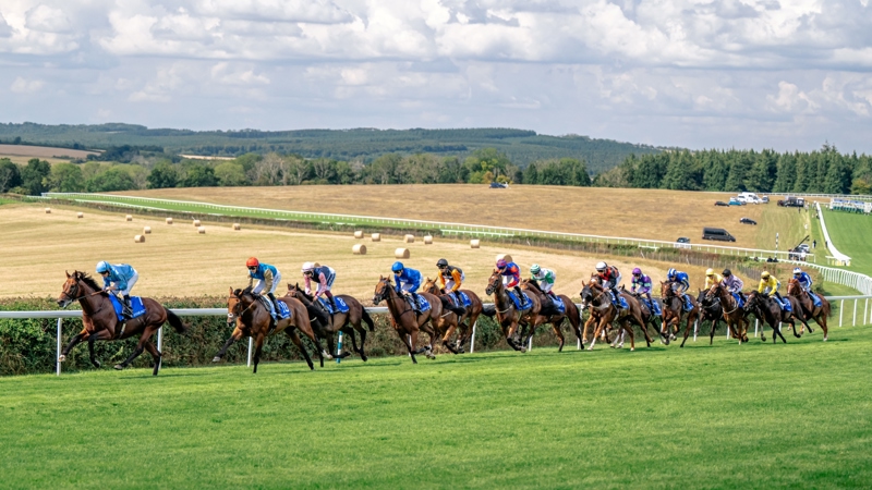 Goodwood Racecourse Grounds Team recognised in RCA Groundstaff Awards ...