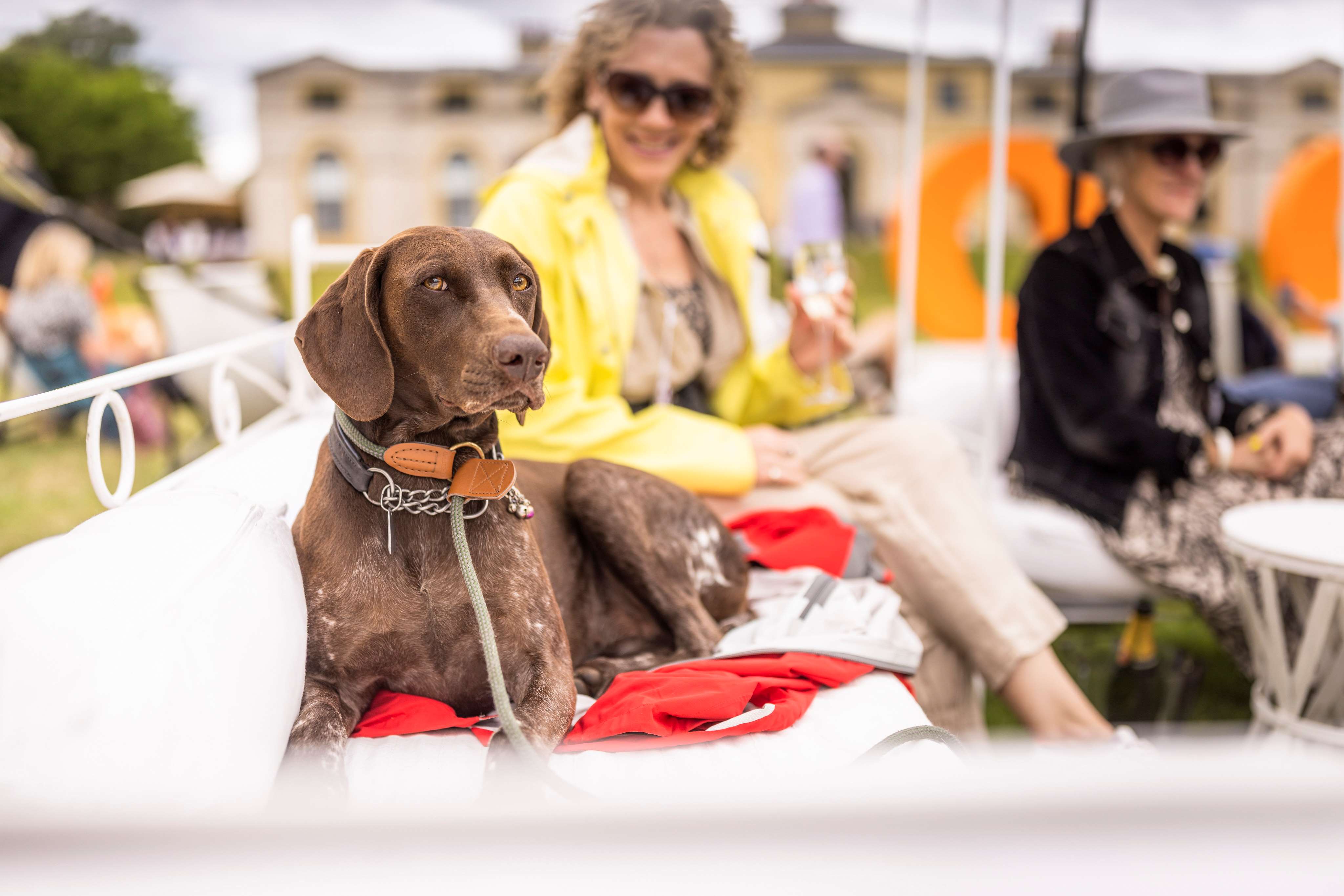 Goodwood - Introducing a brand new range of gorgeous gifts for dogs and ...