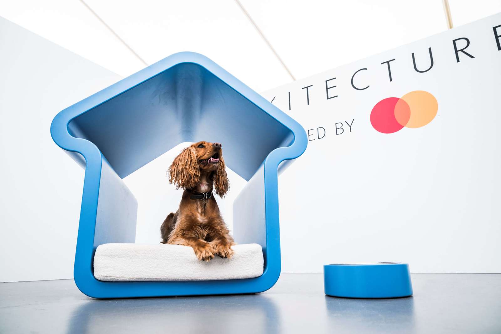 Goodwood - Barkitecture is back! Renowned architects vie to design the ...