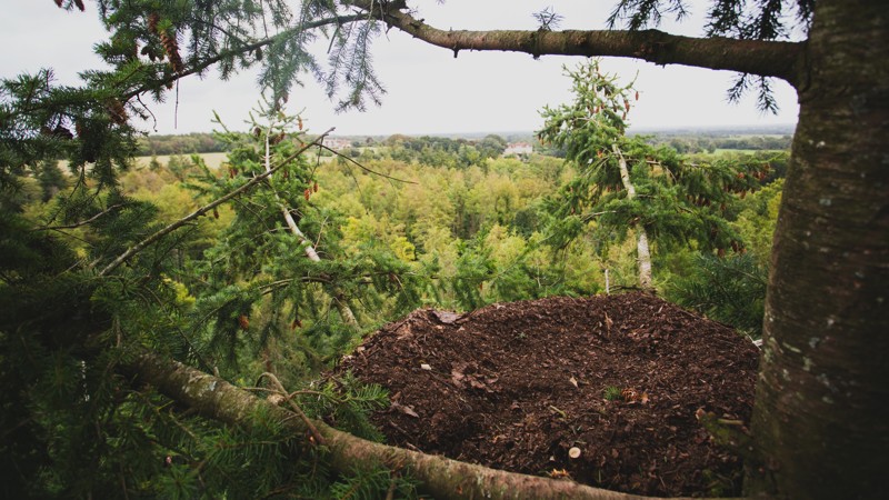 World Nature Conservation Day at Goodwood | Goodwood
