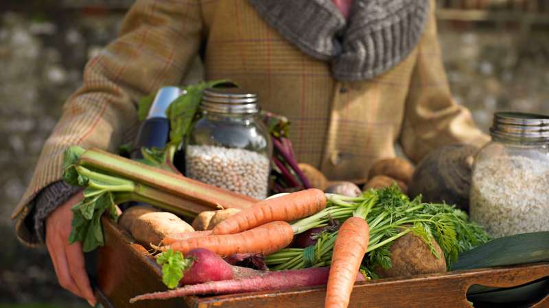 Spring Seasonal Picks | Goodwood